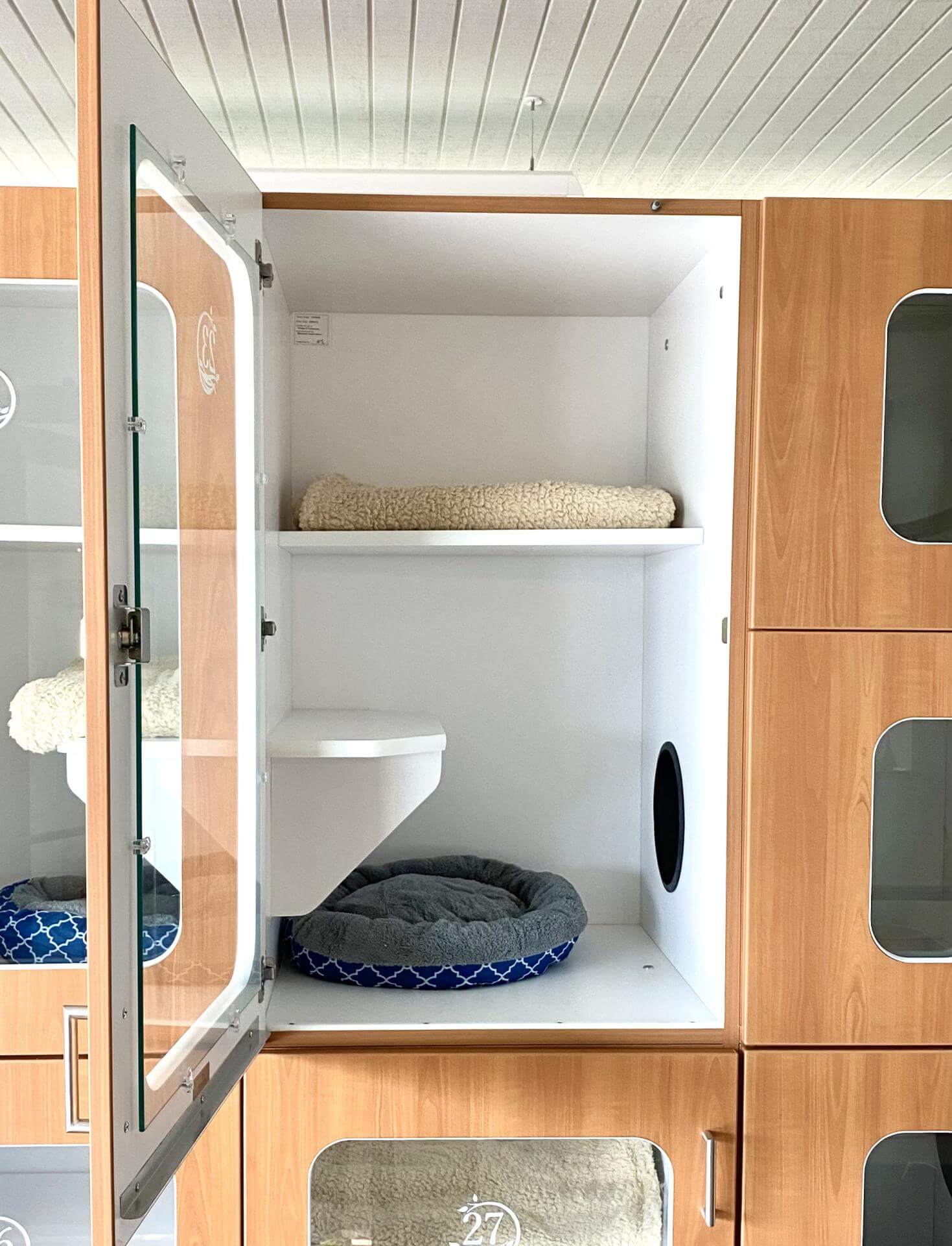 Cat Boarding | Northern Oaks Bird & Animal Hospital Open Breadcrumb ...